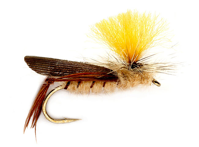 Tom’s Secret Tips for Fishing Terrestrial Flies - Xpert Fly Fisher