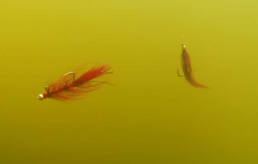 Video: How to Create Balanced Subsurface Flies - Xpert Fly Fisher