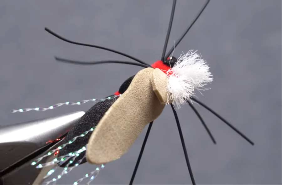 Video: How to Tie a Water Walker Variant - Xpert Fly Fisher