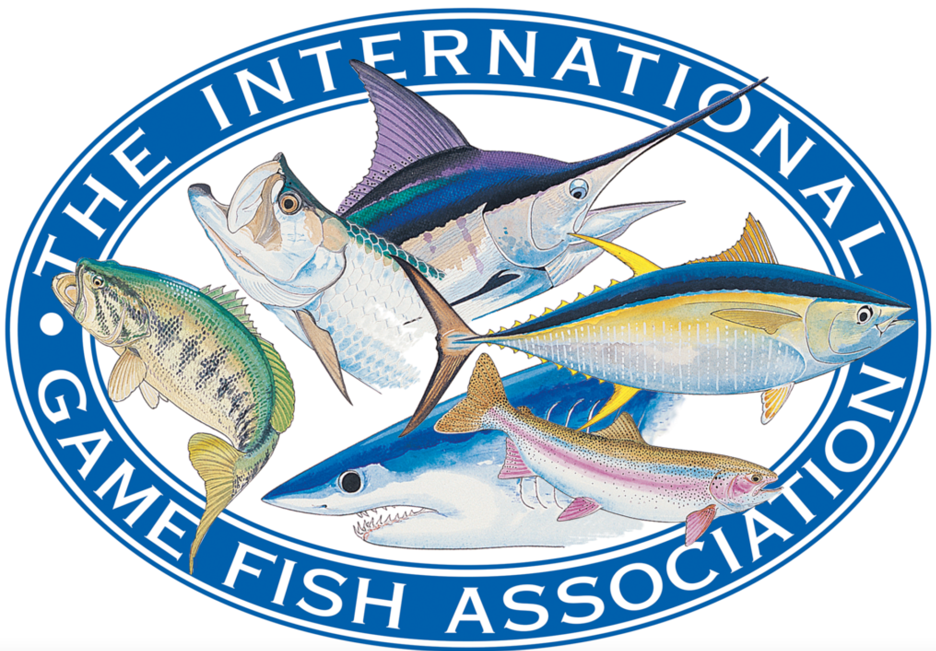 Shimano Brands Chart a Course to World Record Catches - Xpert Fly Fisher